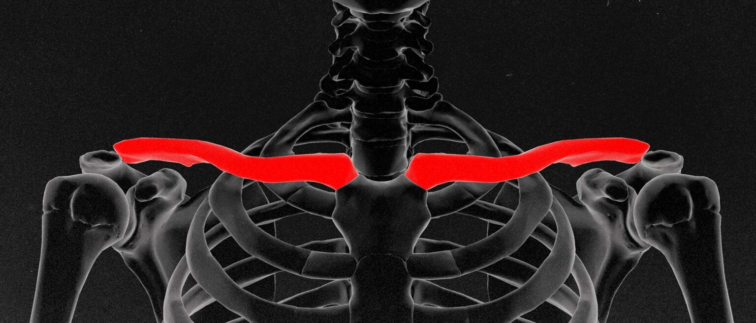 Narrow Shoulders — Outlive