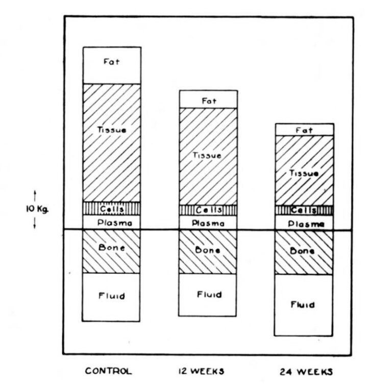 Lessons From The Minnesota Starvation Experiment — Outlive