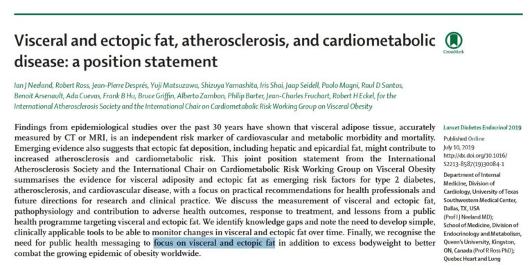 Visceral Fat Guide—What It Is And How To Get Rid of It — Outlive